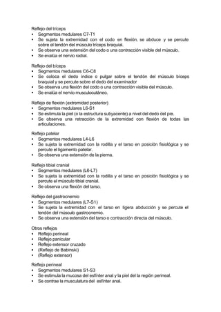 Examen neurológico | PDF