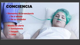 EXAMEN NEUROLÓGICO DEL ADULTO.pptx