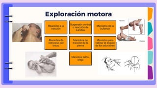 Examen neurológico pediátrico, valoración inicial | PPTX