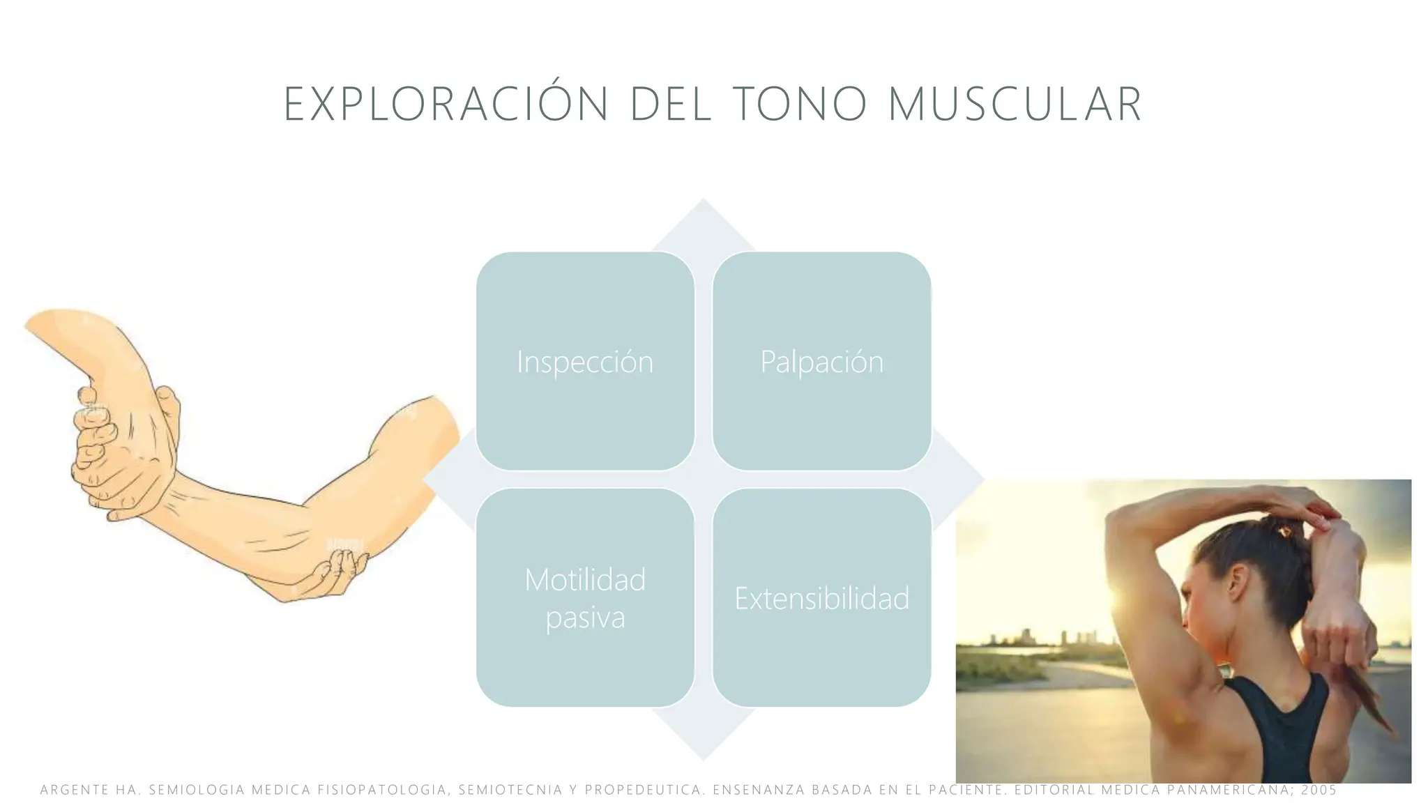 Examen neurológico y aparato locomotor (2da parte) sin terminar.pptx