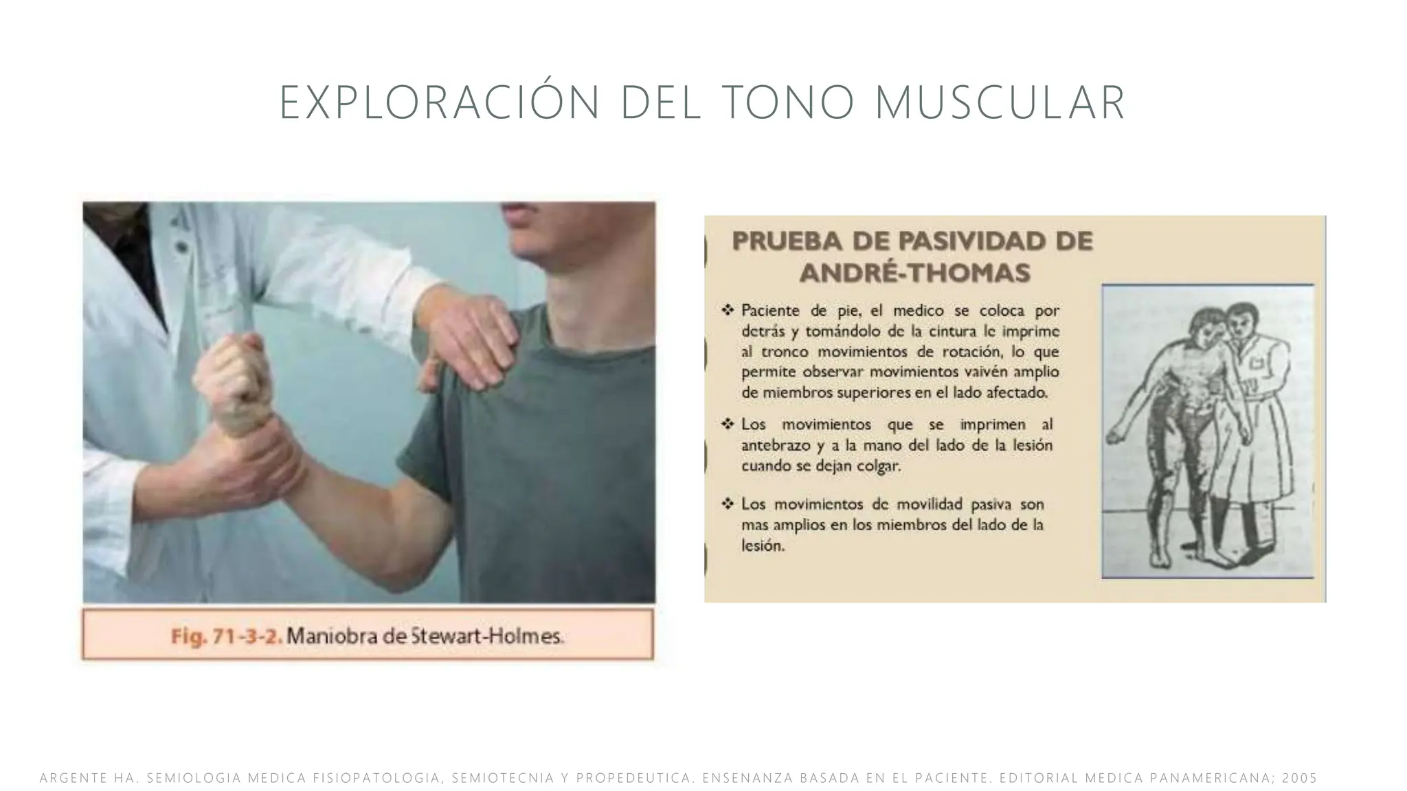 Examen neurológico y aparato locomotor (2da parte) sin terminar.pptx