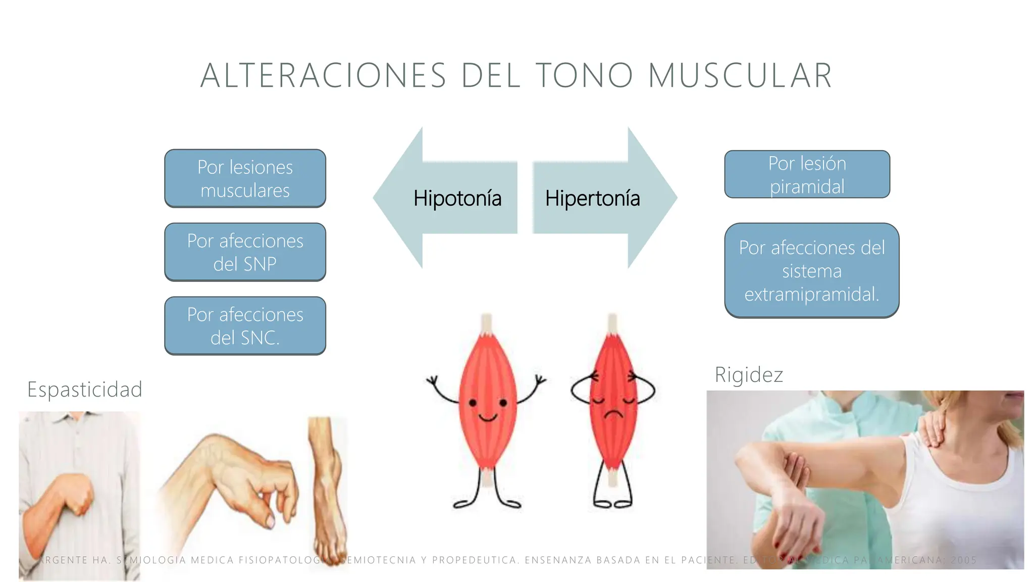 Examen neurológico y aparato locomotor (2da parte) sin terminar.pptx