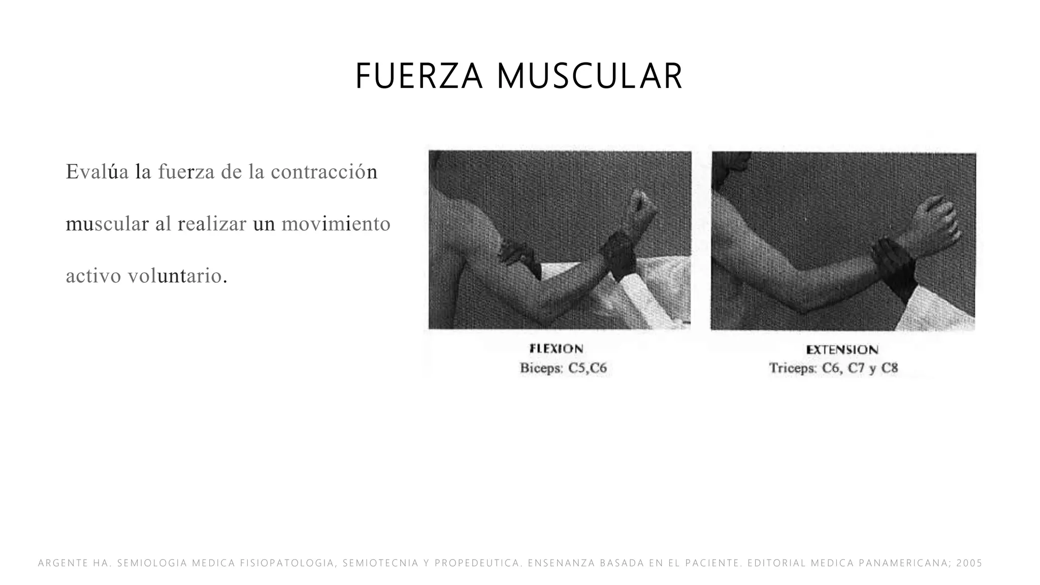 Examen neurológico y aparato locomotor (2da parte) sin terminar.pptx