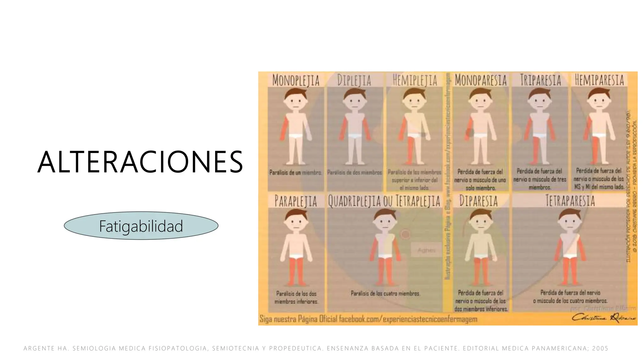 Examen neurológico y aparato locomotor (2da parte) sin terminar.pptx