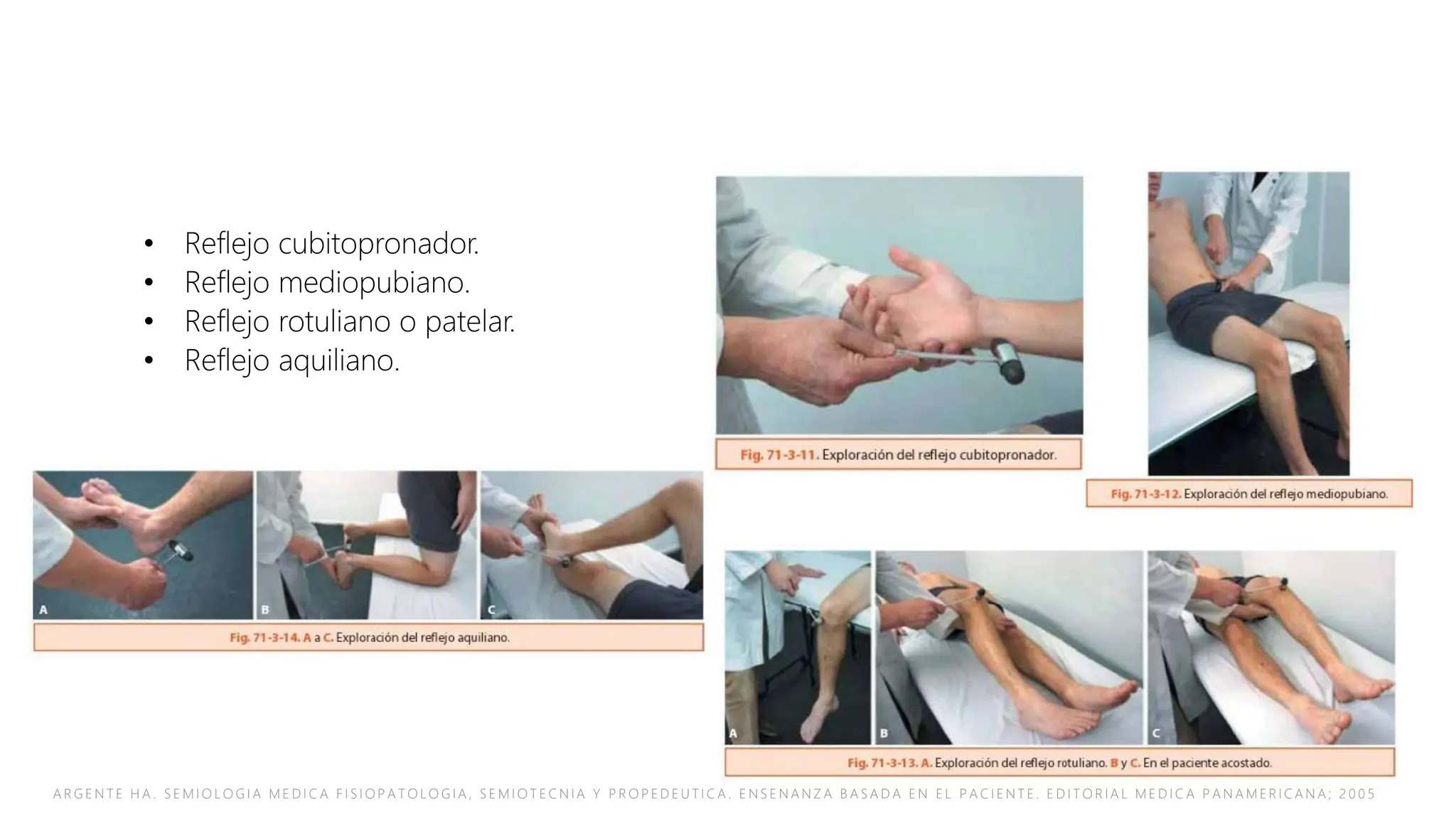 Examen neurológico y aparato locomotor (2da parte) sin terminar.pptx