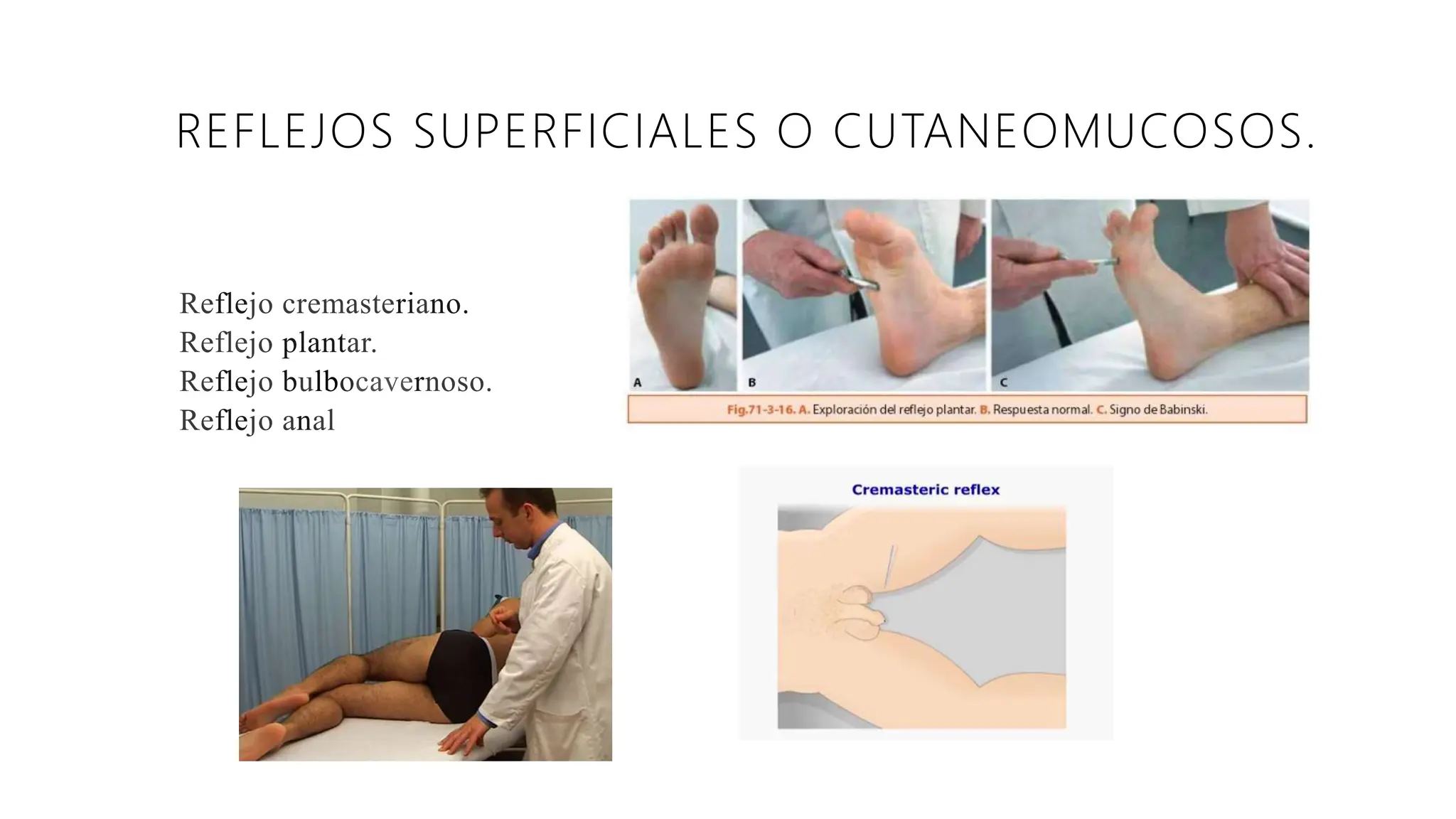 Examen neurológico y aparato locomotor (2da parte) sin terminar.pptx