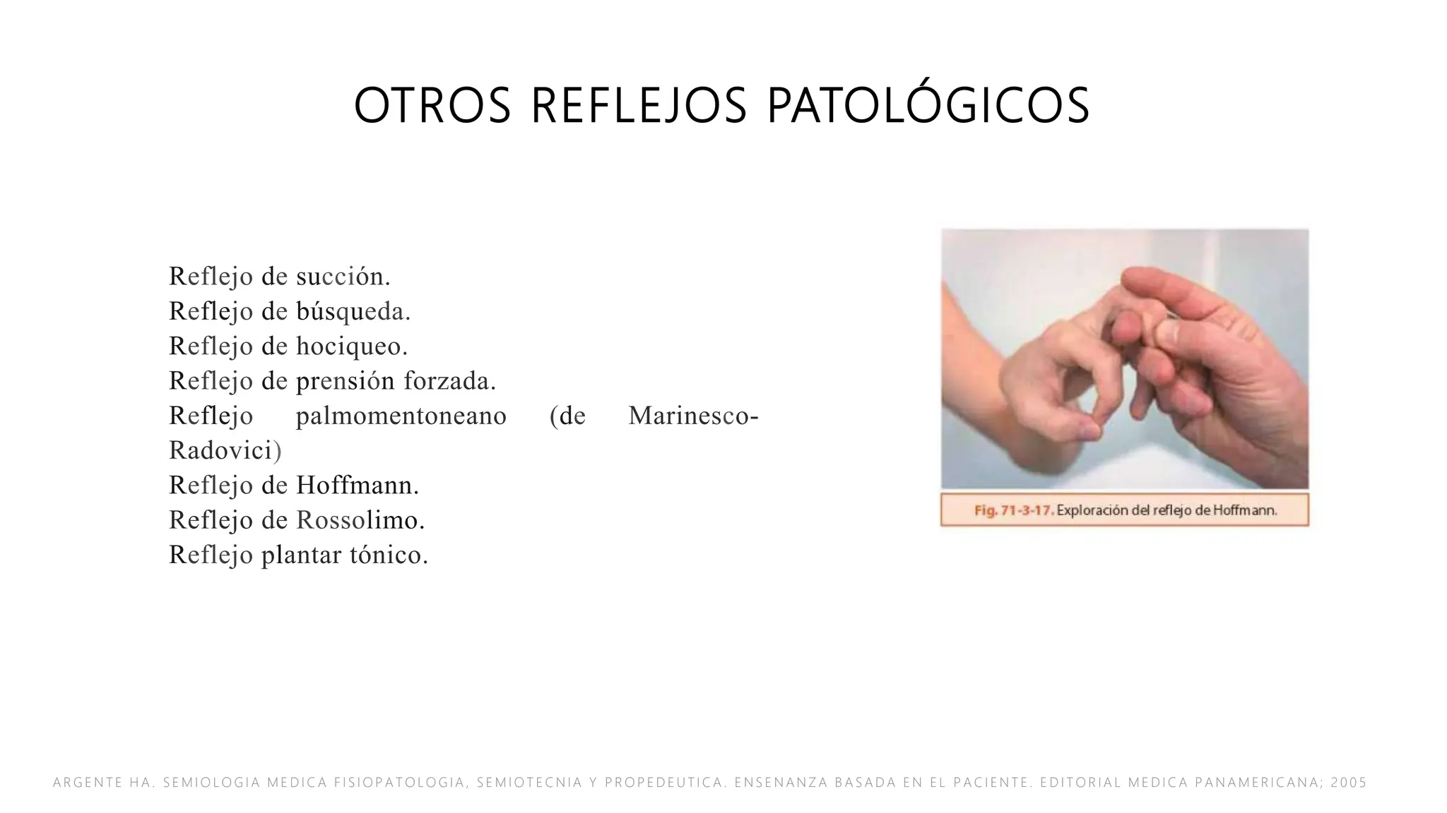 Examen neurológico y aparato locomotor (2da parte) sin terminar.pptx