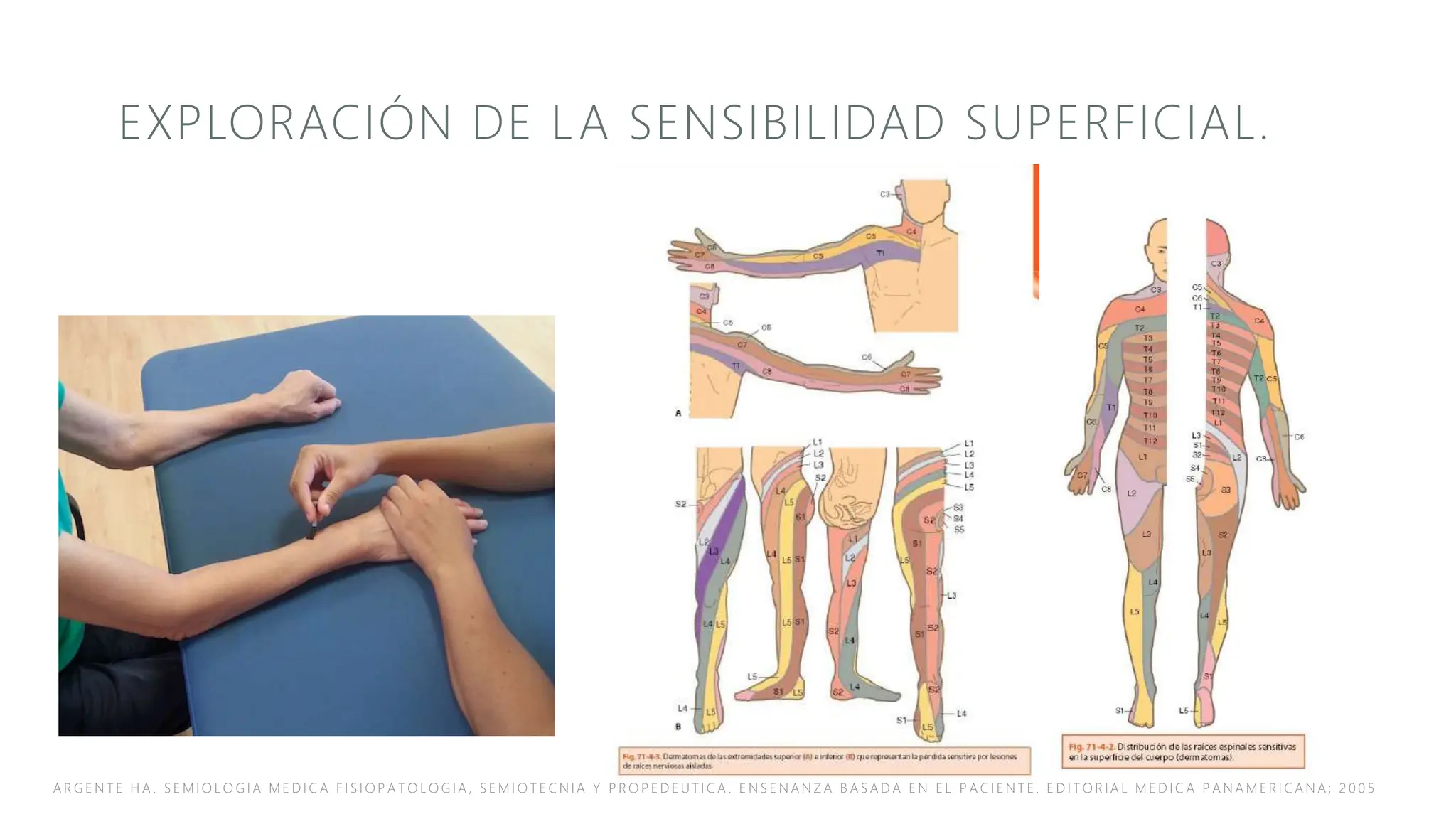 Examen neurológico y aparato locomotor (2da parte) sin terminar.pptx