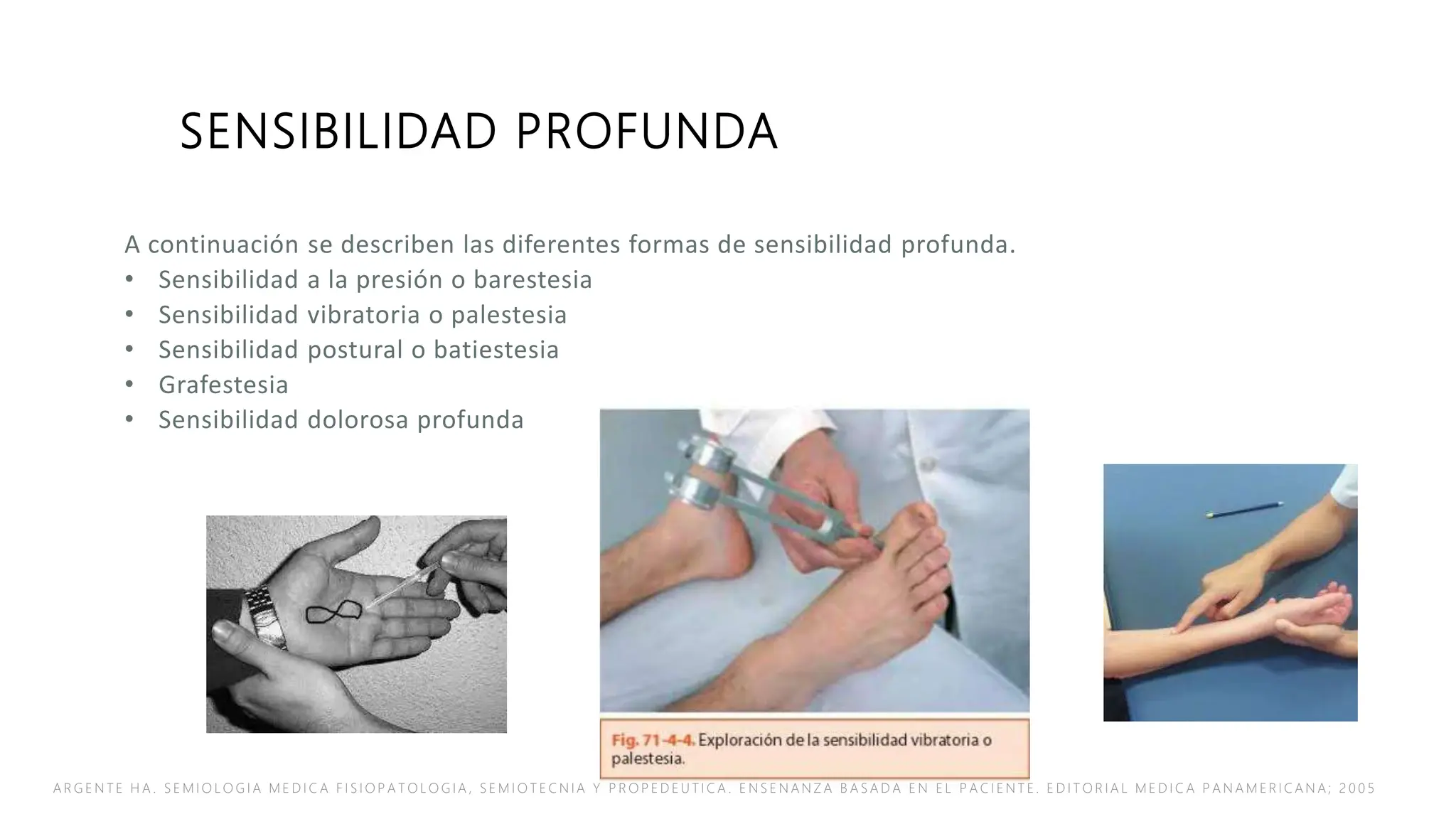 Examen neurológico y aparato locomotor (2da parte) sin terminar.pptx