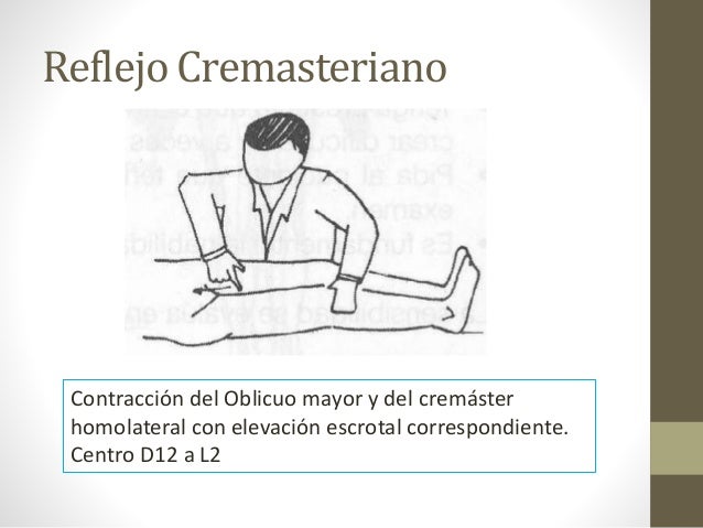 Examen Físico Neurologico. Dr. Gonzalo Nieto 2013