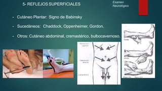 EXAMEN NEUROLOGICO . .. . .. MEDICINA SD | PPTX