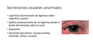 Examen oftalmológico del adulto | PPTX