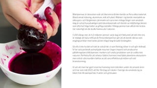 Pencone Concept | PPT