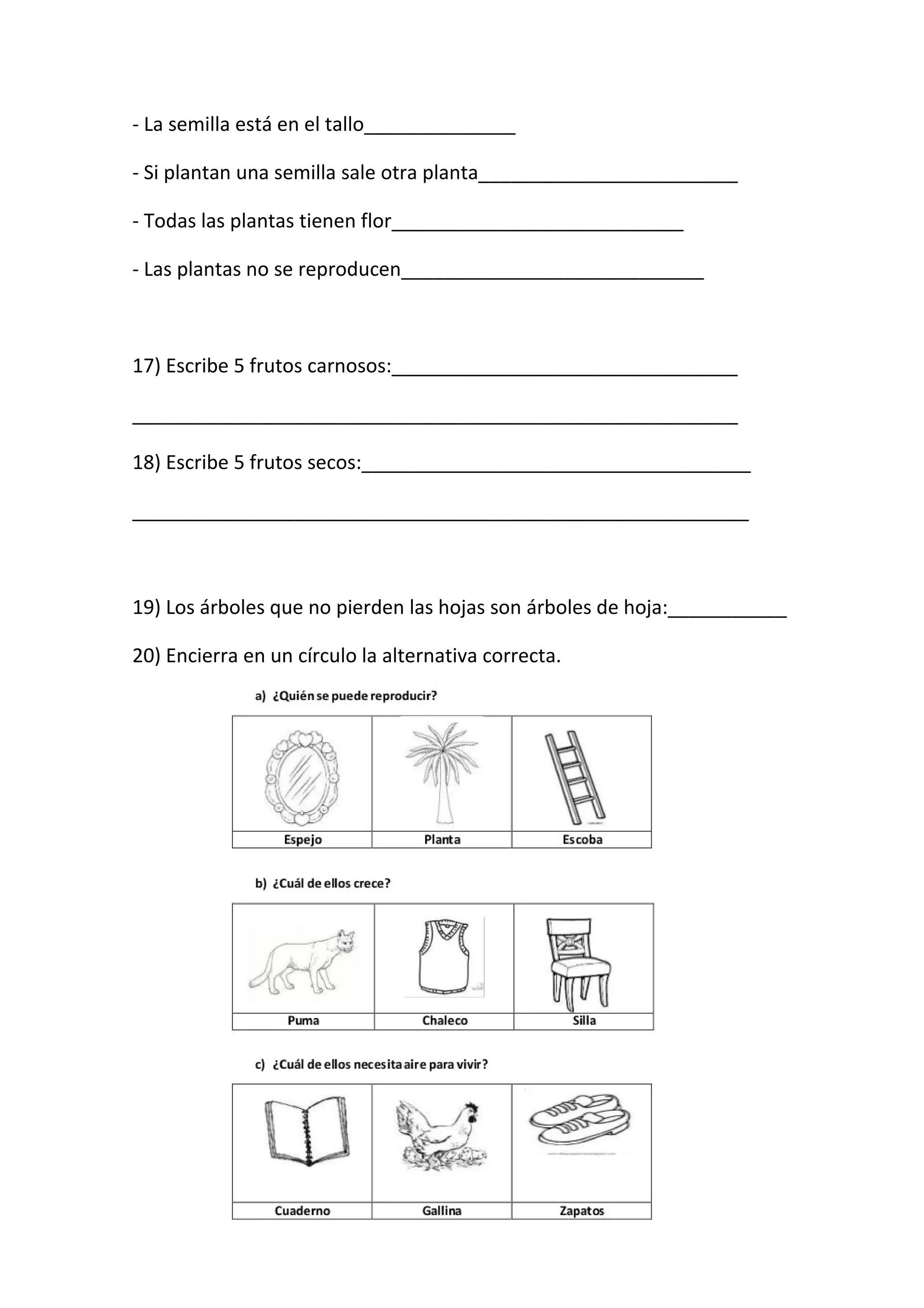 Examen plantas alto | PDF
