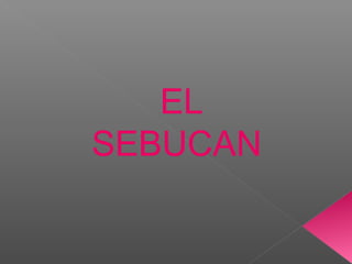 Examen practico el sebucan | PPT