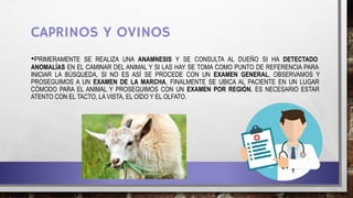 Examen Sistema Locomotor Animales.pdf