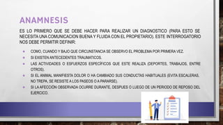 Examen Sistema Locomotor Animales.pdf