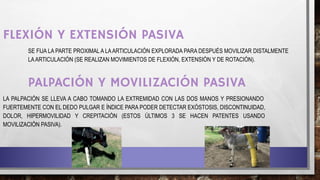 Examen Sistema Locomotor Animales.pdf