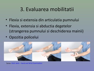 Examenul mainii | PPT
