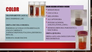 Examen urinario | PPTX