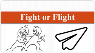 Exam Fear, Fight or Flight, Before During and After Exam | PPT