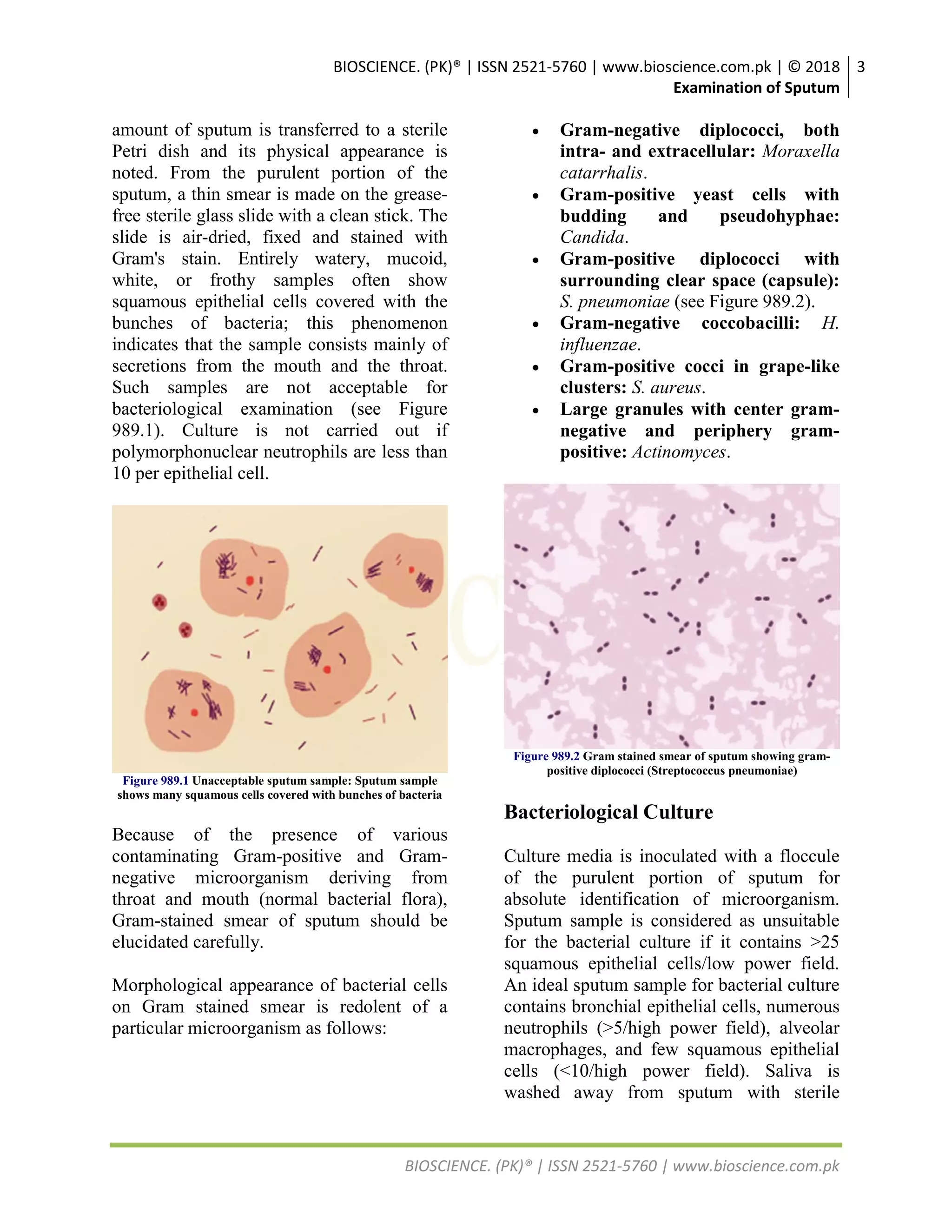 Examination.of.Sputum.pdf