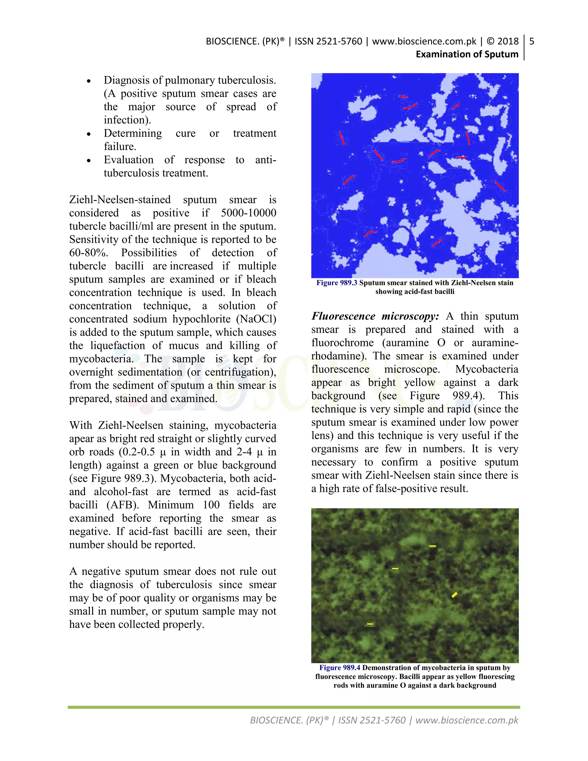 Examination.of.Sputum.pdf