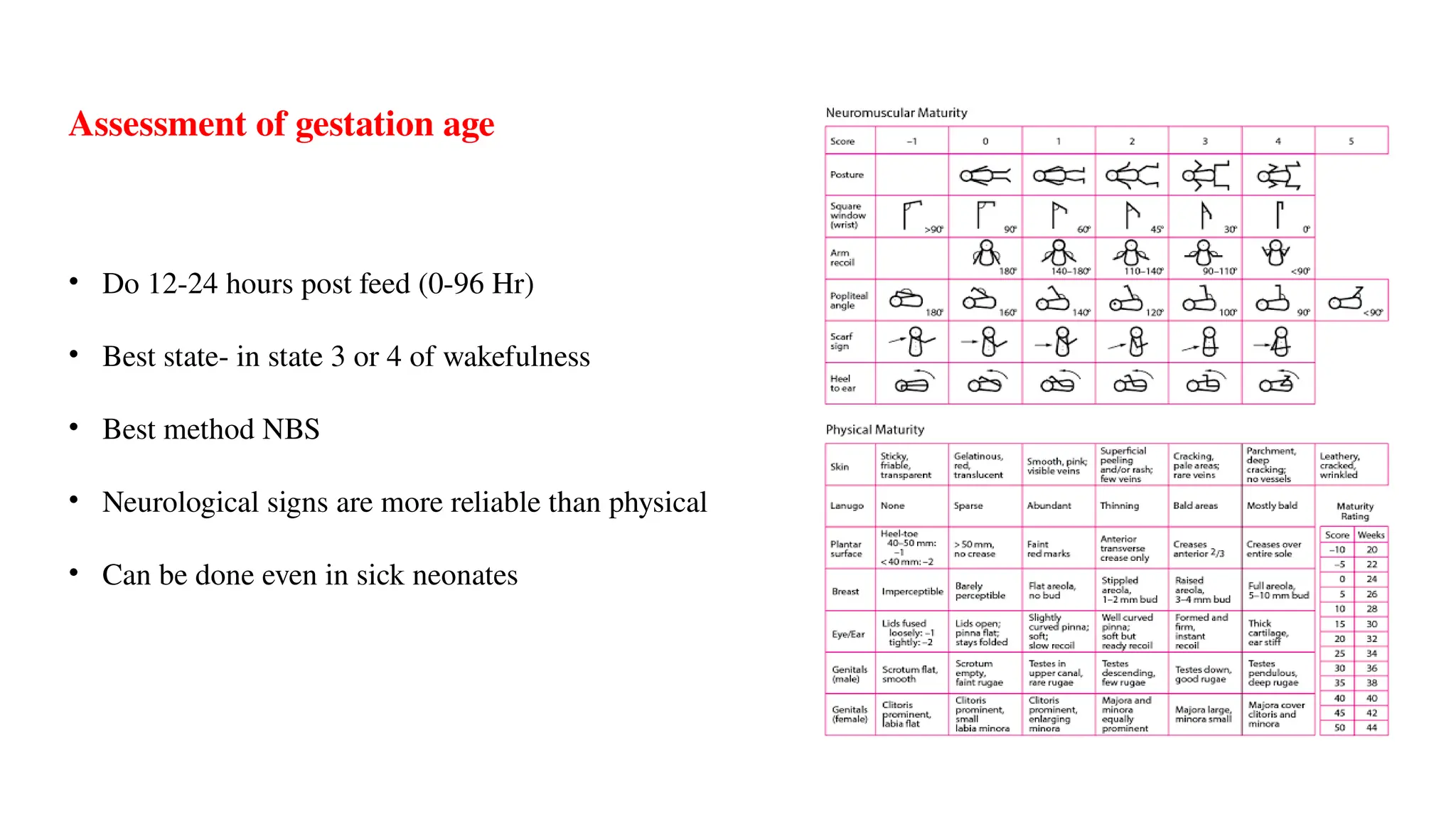 Examination.pptx Examination of the neonates | PPTX