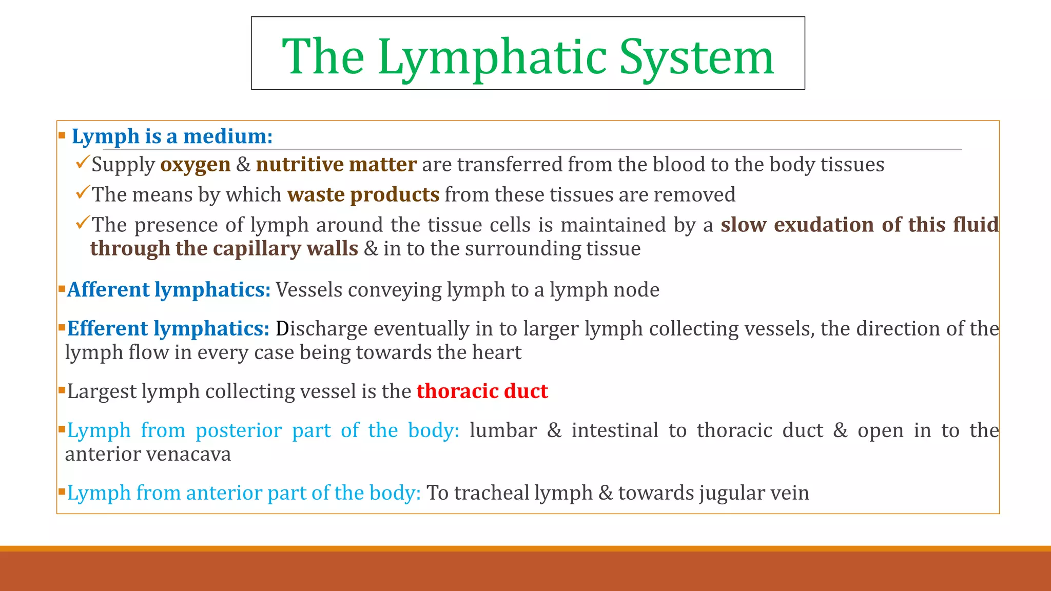 examination-of-LN.pptx | Lung and Respiratory Health | Diseases and ...