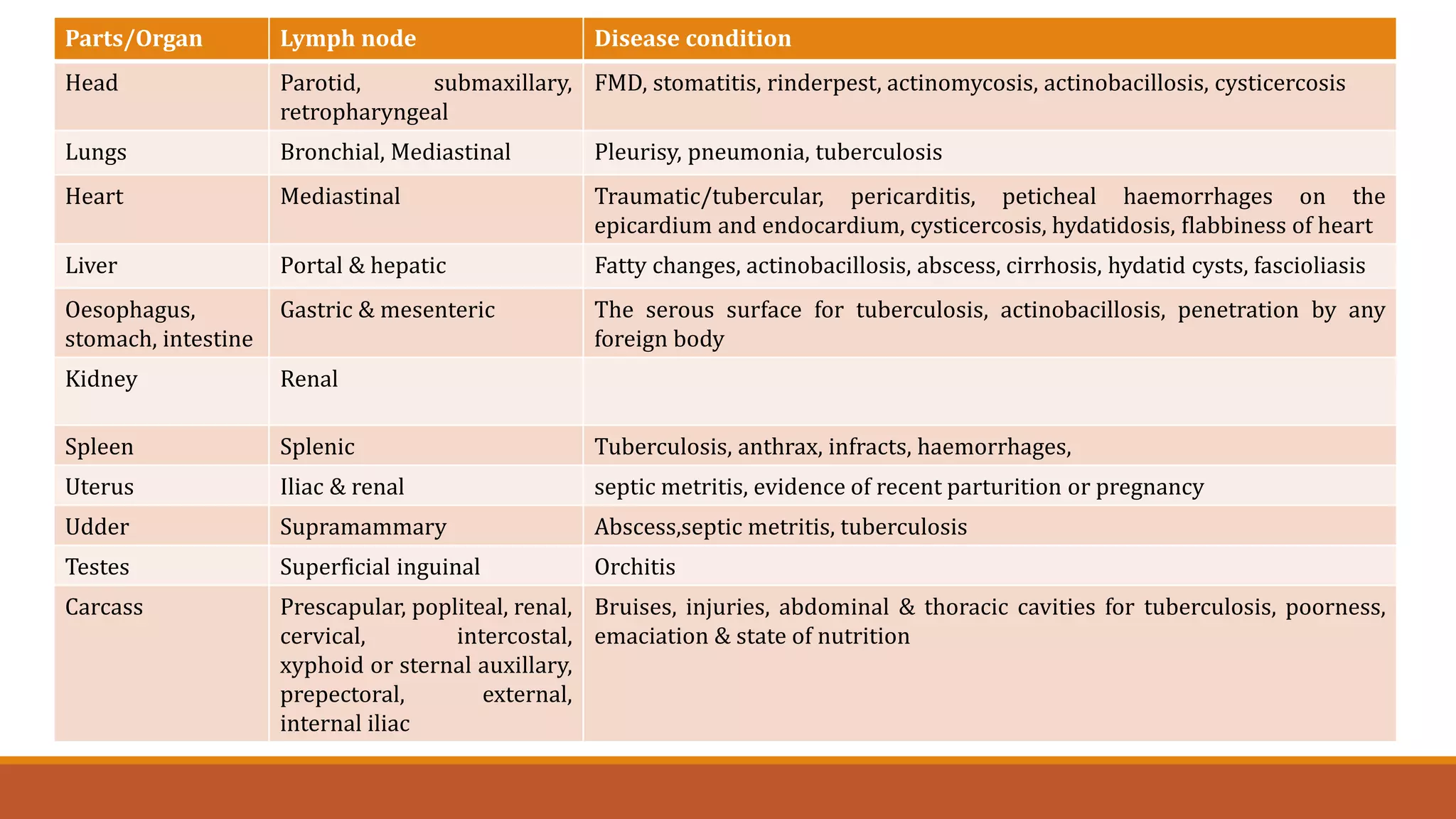 examination-of-LN.pptx | Lung and Respiratory Health | Diseases and ...