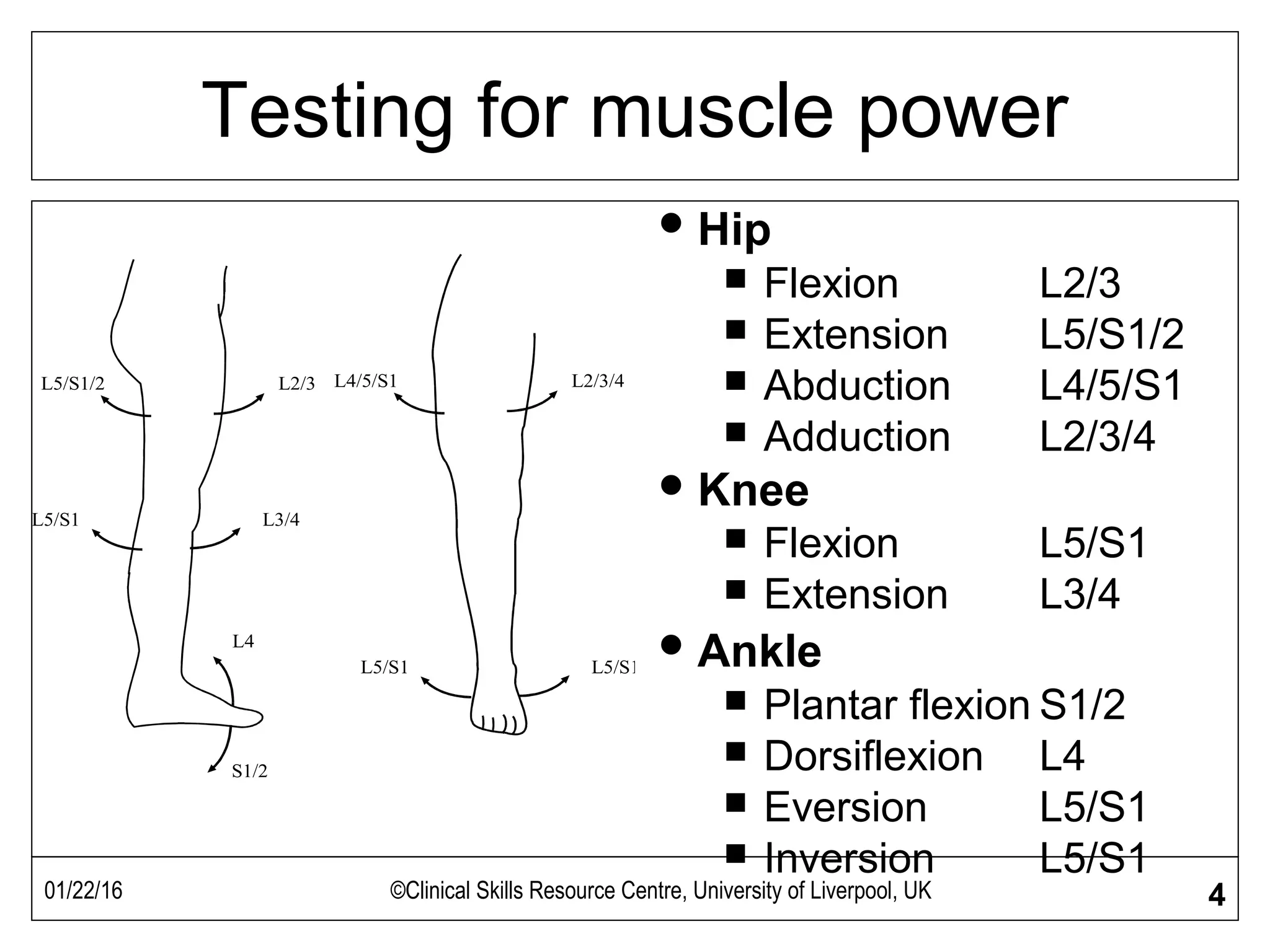 Examination of Lower Limbs | PPT