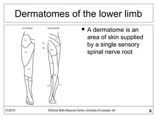 Examination of Lower Limbs | PPT