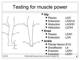 Examination of Lower Limbs | PPT