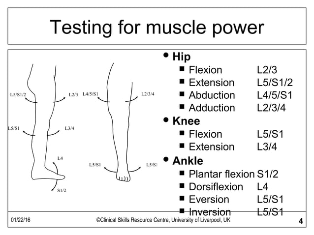 Examination of Lower Limbs