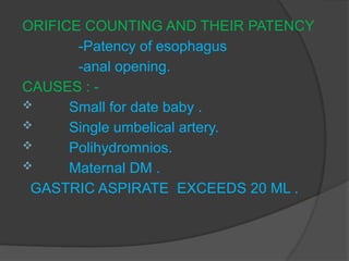 examination-of--newborn--------baby.pptx