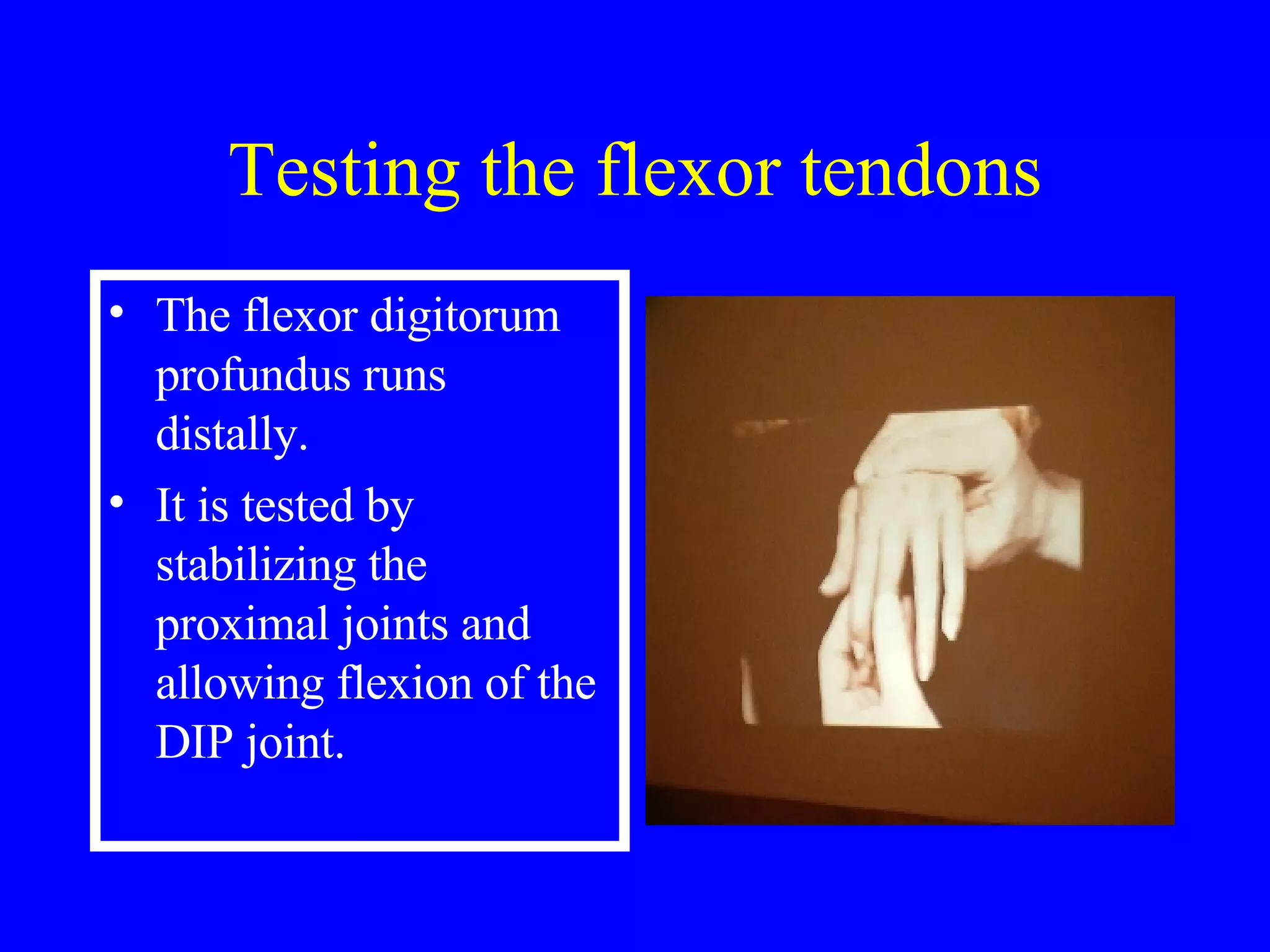 Examination Of The Hand & Wrist | PPT