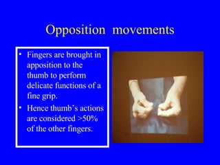 Examination Of The Hand & Wrist | PPT