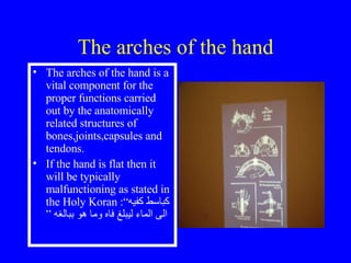 Examination Of The Hand & Wrist | PPT