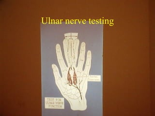 Examination Of The Hand & Wrist | PPT