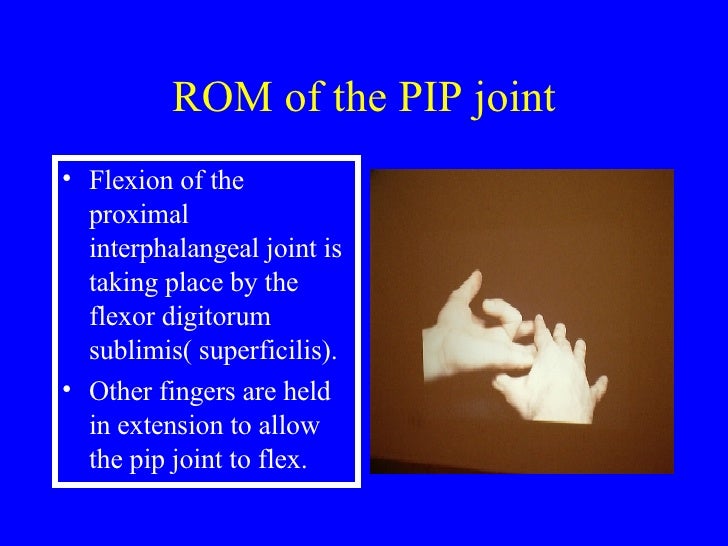 Examination Of The Hand & Wrist