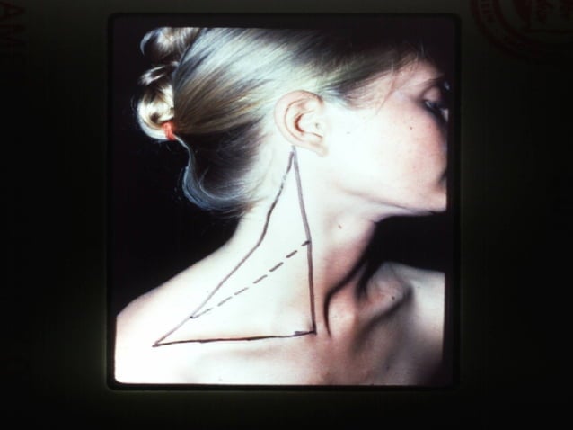 Examination Of The Neck | PPT