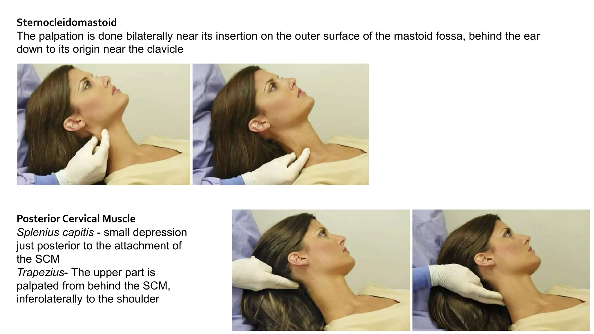 Examination and diagnosis of tmd | PPTX
