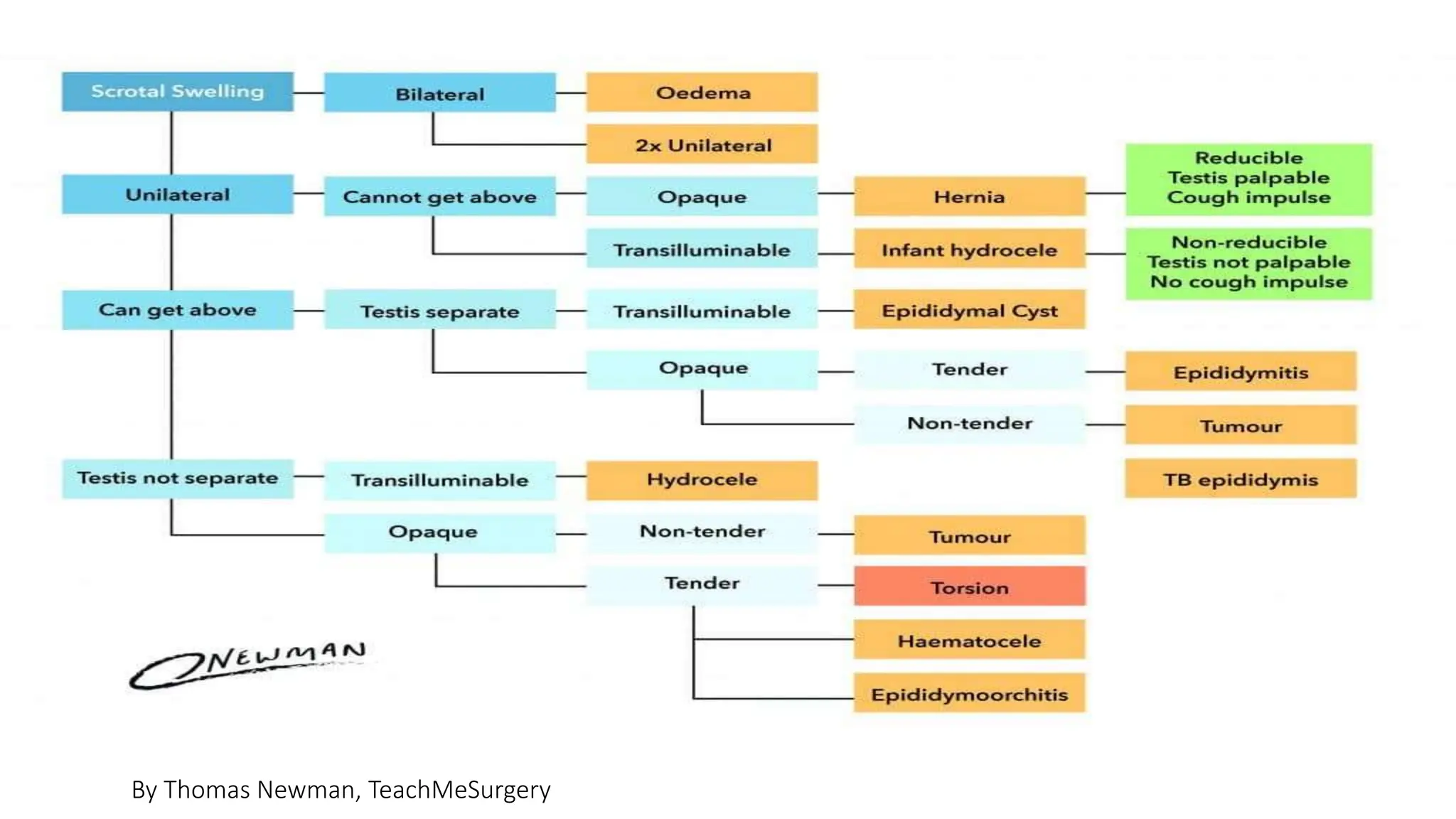 Examination & Clinical Approach of hernia & Inguino-scrotal edited.pptx