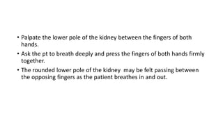 examination of abdomen.pptx