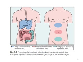 Examination of Abdomen Demo lec JP.pptx