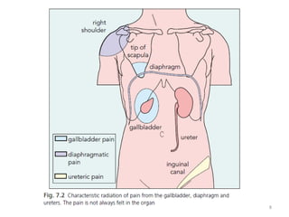 Examination of Abdomen Demo lec JP.pptx