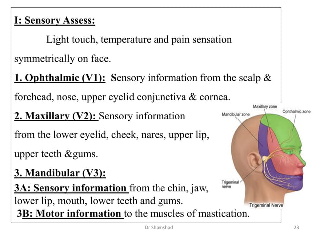 Examination of all Cranial Nerves Examination jan 2023 updated pdf .pdf