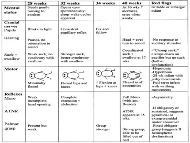 Neurological Examination of an infant