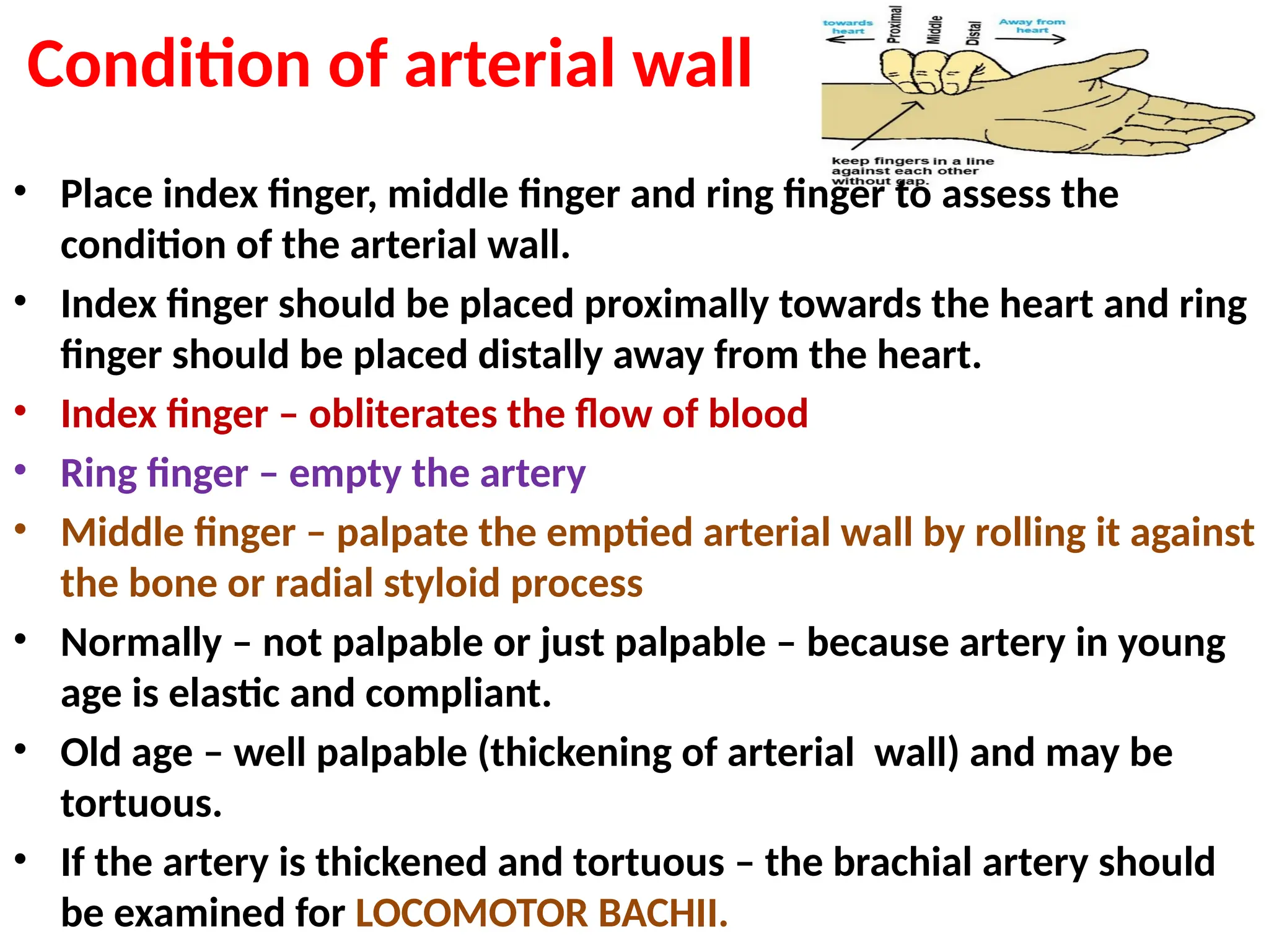 Examination of arterial and venous pulse Mbbs physiology.pptx