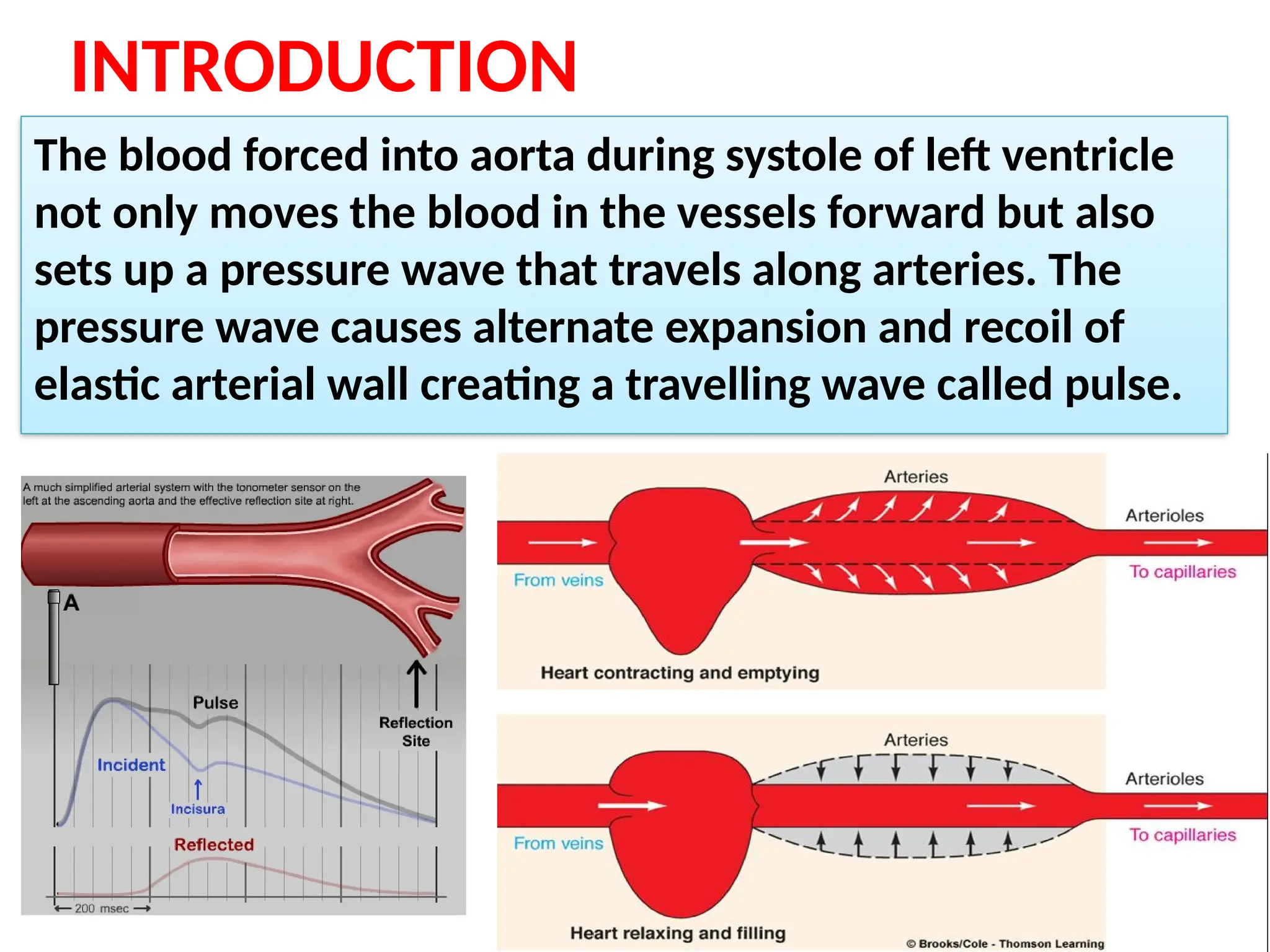 Examination of arterial and venous pulse Mbbs physiology.pptx